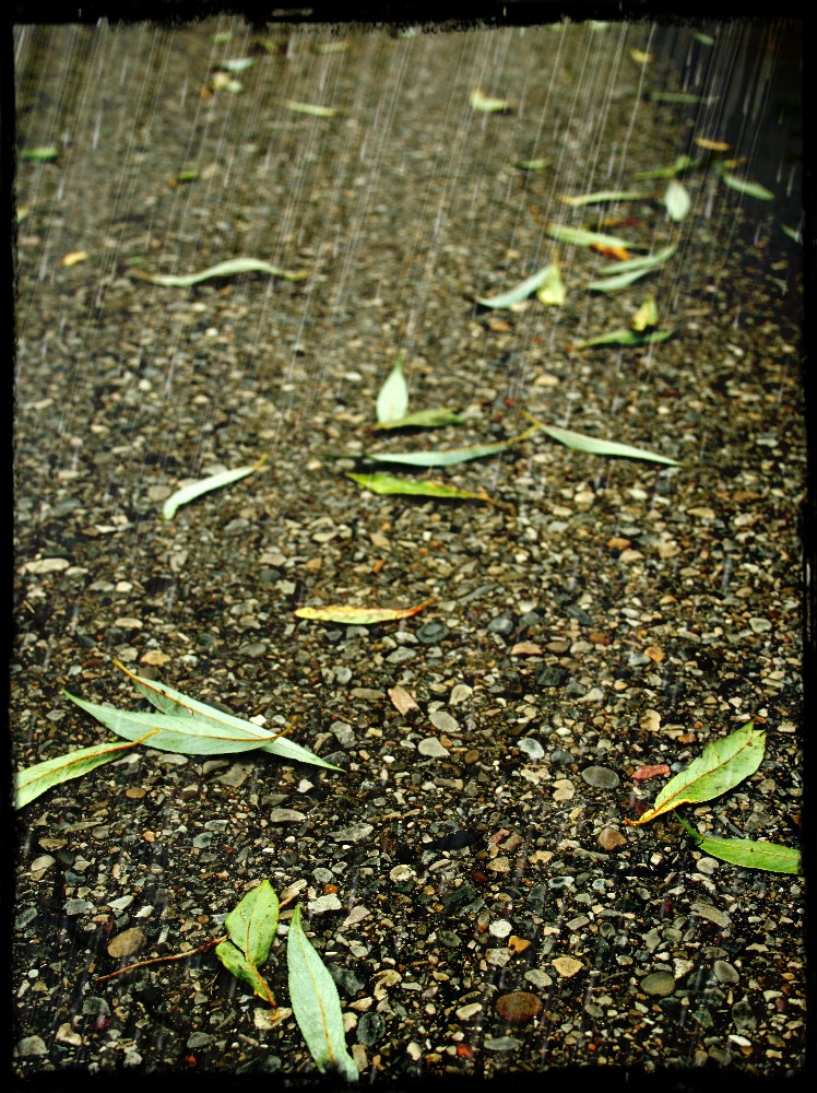 August Break 2011 – Day 30 – KateWares
